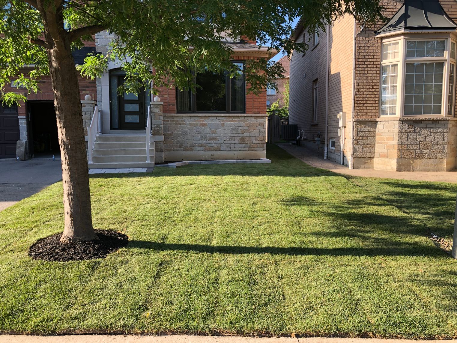 How To Properly Care for Your New Sod | Sodding GTA